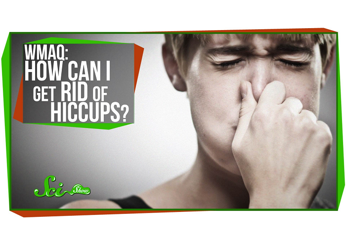 How To Get Rid Of Hiccups How To Get Rid Of Hiccups