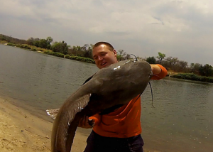 Look At This African River Monster – The Giant Catfish
